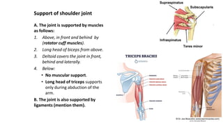 Joints of the upper limb.pdf