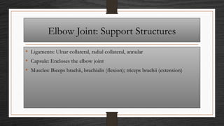 Joints_of_the_Upper_Limb_Presentation.pptx