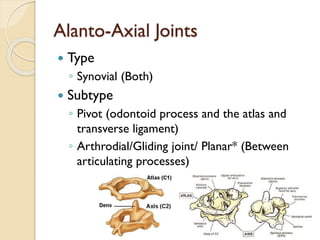 Types of Joint Present in the vertebral column (simplified version) | PPTX