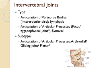Types of Joint Present in the vertebral column (simplified version) | PPTX