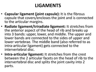 JOINTS OF THORAX.pptx