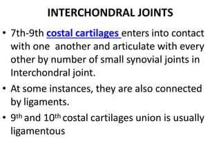 JOINTS OF THORAX.pptx