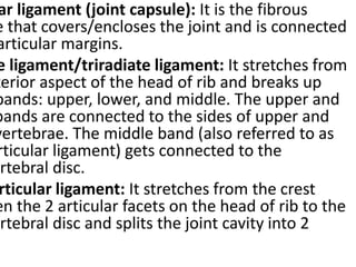 JOINTS OF THORAX.pptx