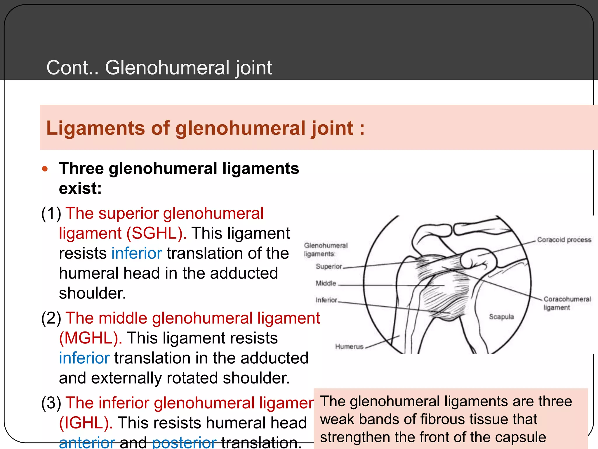 upper limb joints. | PPTX