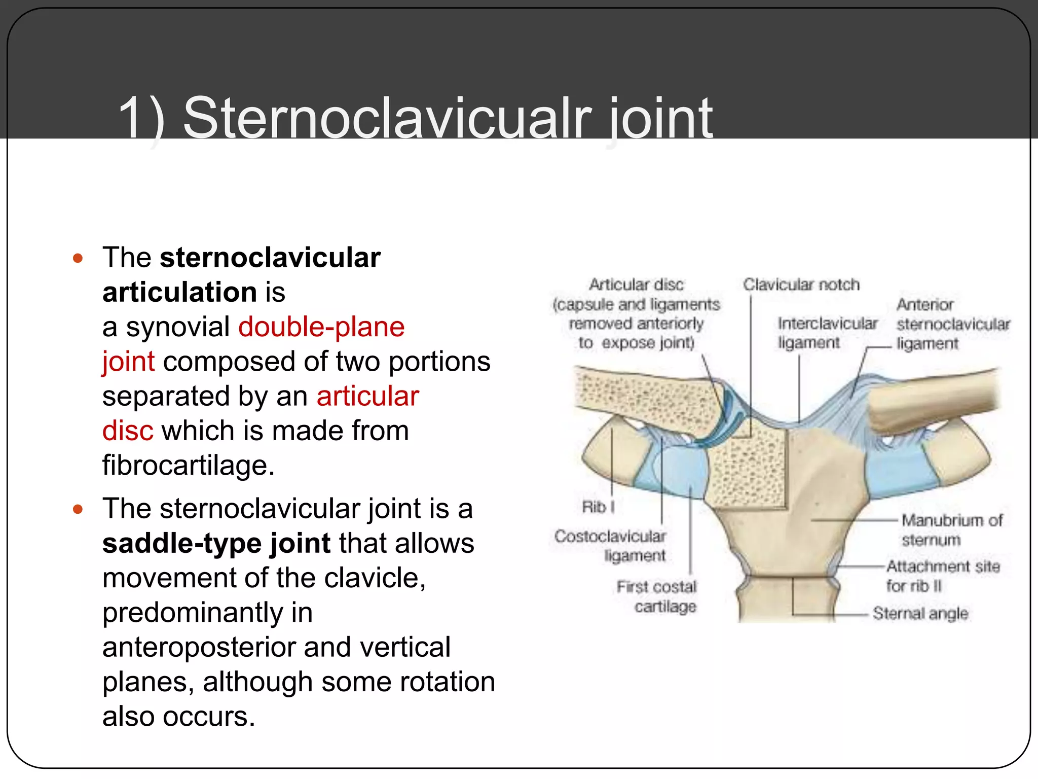 upper limb joints. | PPTX