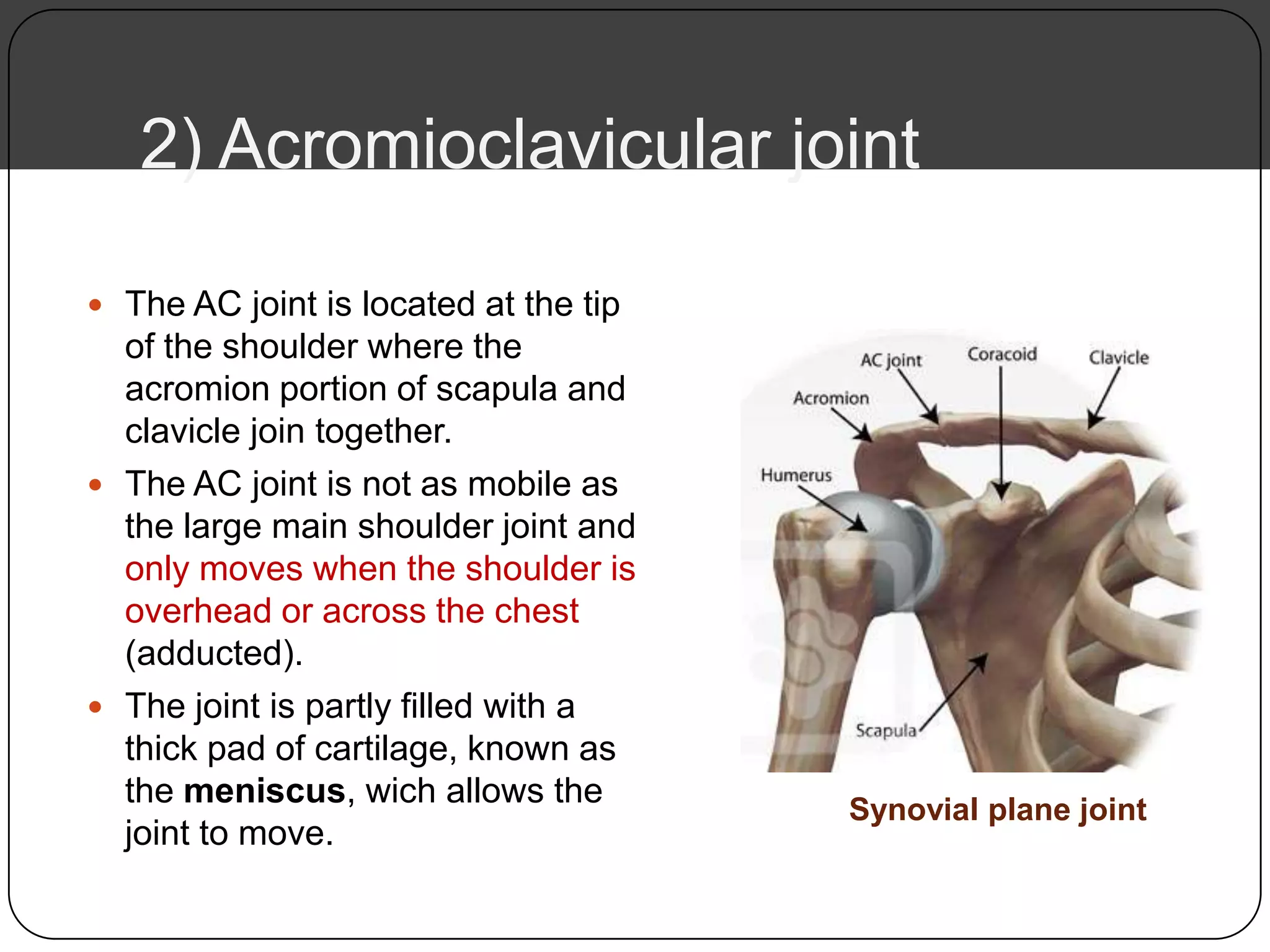 upper limb joints. | PPTX