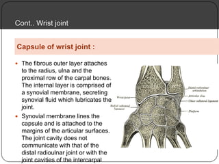 upper limb joints. | PPTX
