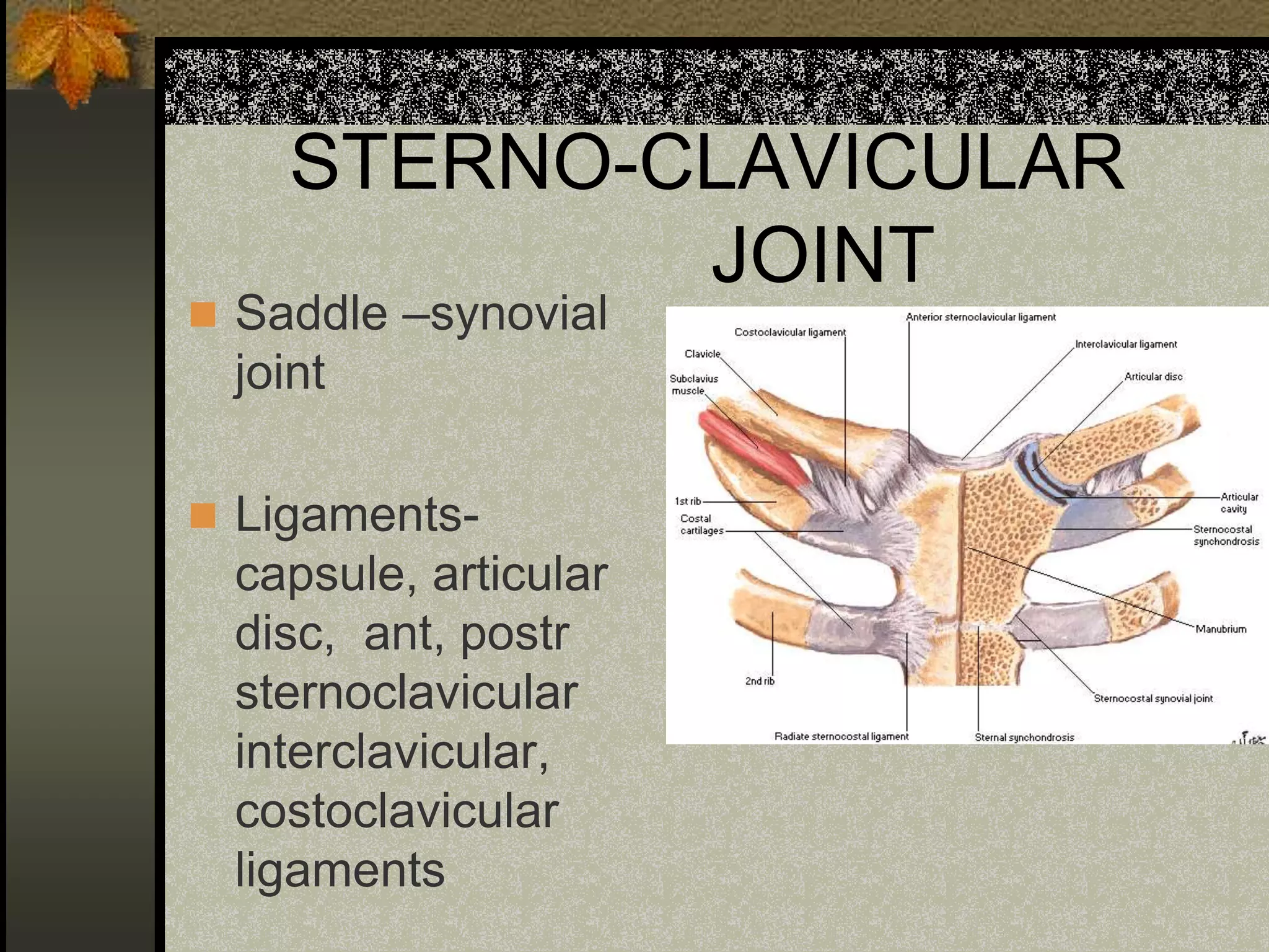 joints of upper limb..ppt