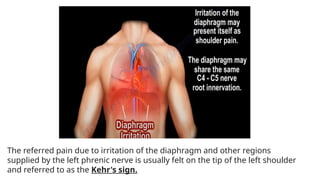Joints of Upper Limb-Applied aspect.pptx