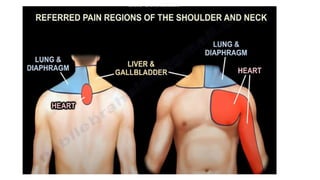 Joints of Upper Limb-Applied aspect.pptx