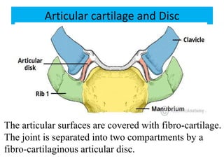 Joints of upper limb | PPT