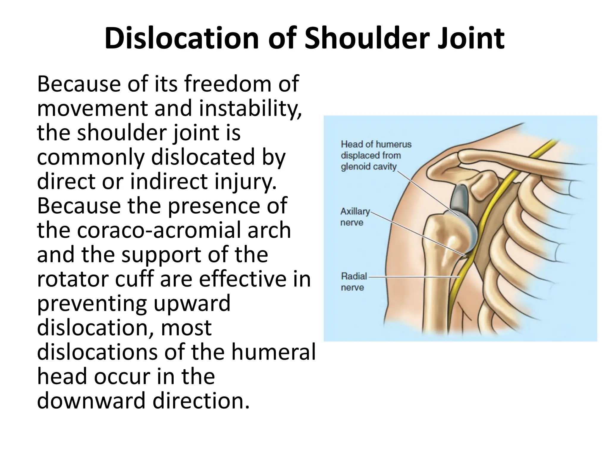 joints of upper limbs human anatomy best slides | PDF