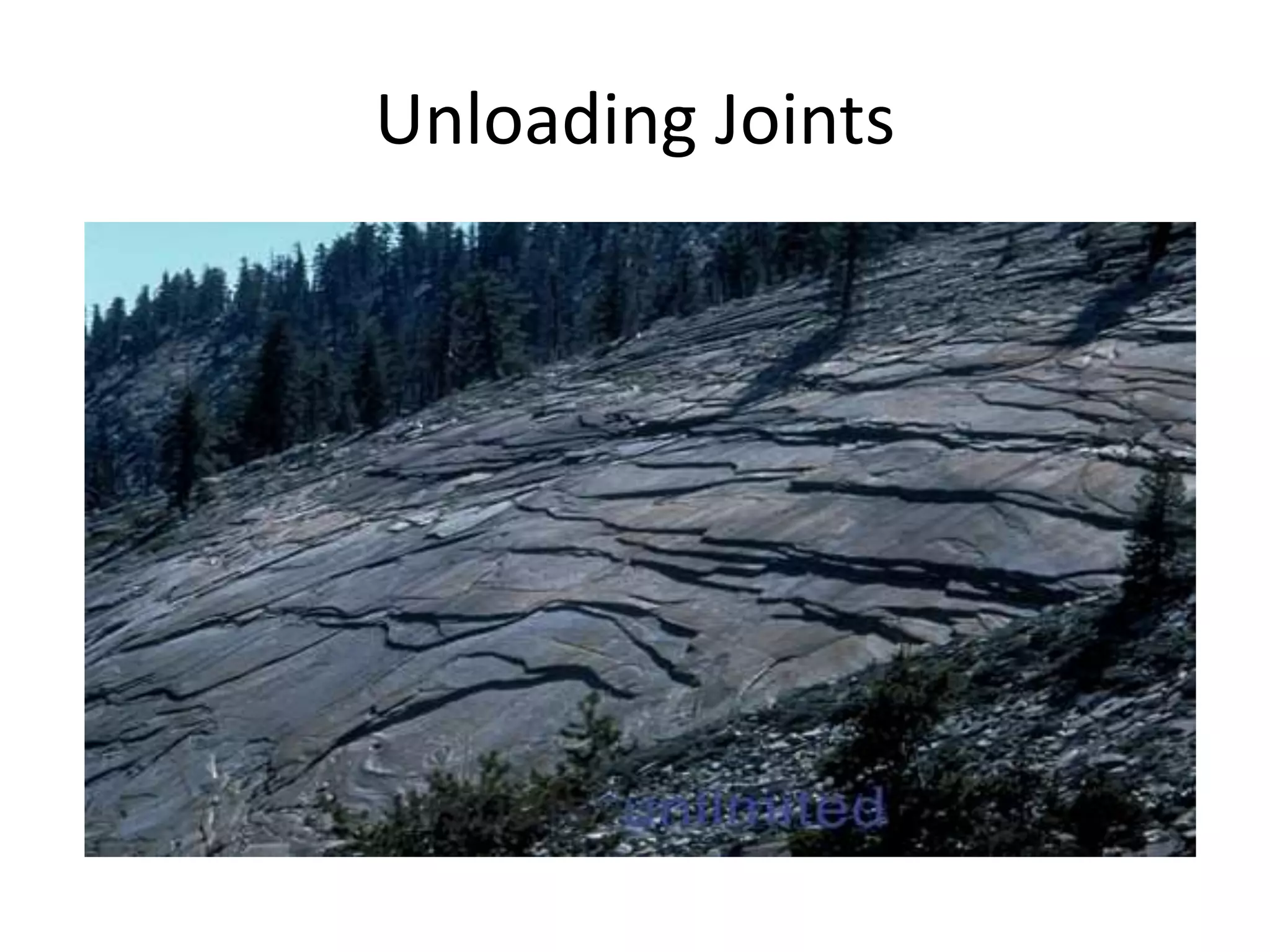 Joints, parts, varieties and clssification | PPTX