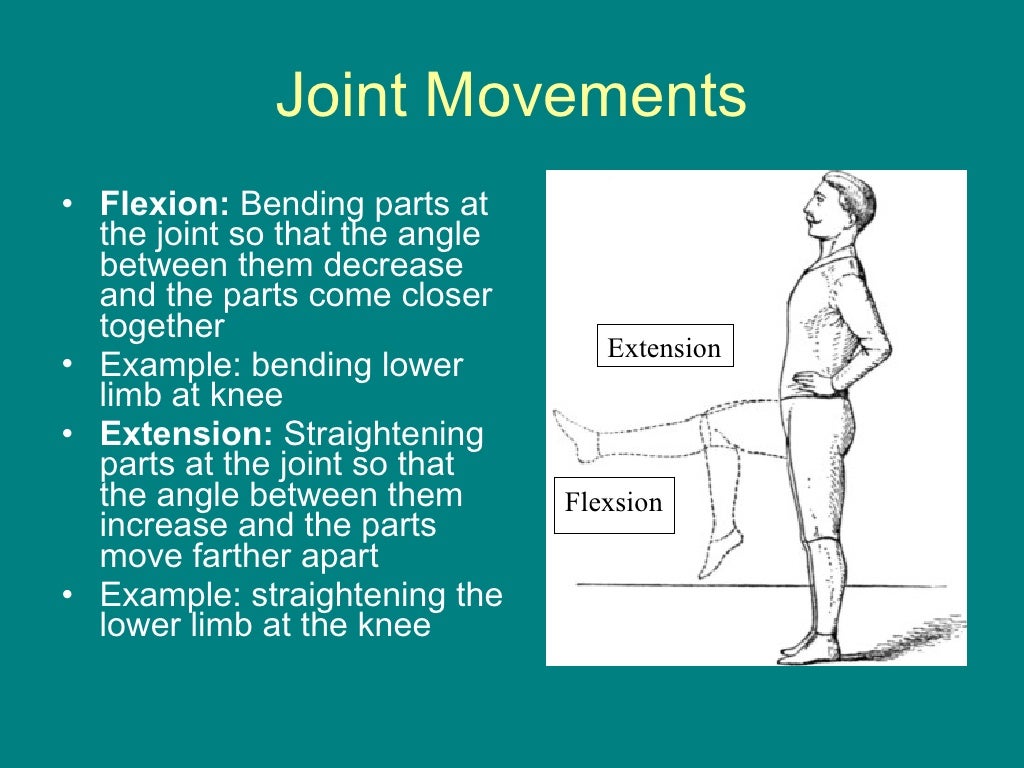 Joints powerpoint