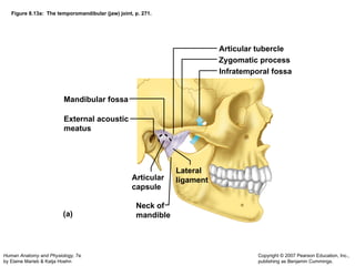 Jointsrev | PPT