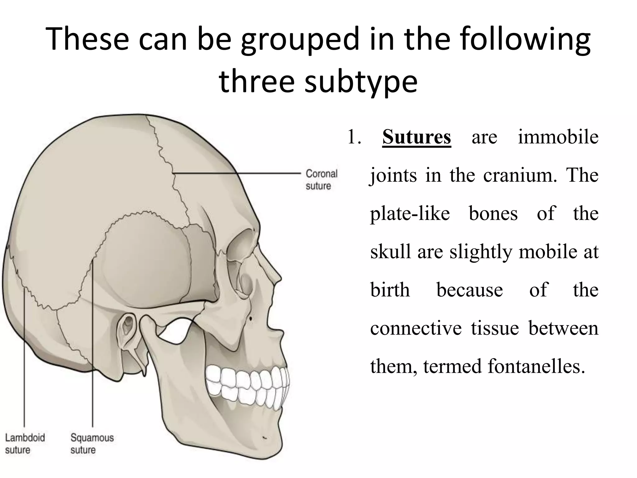 Joints_Skeleton system.pptx