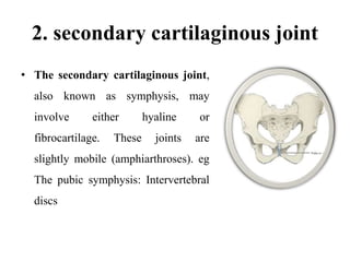 Joints_Skeleton system.pptx