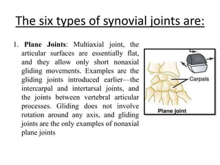 Joints_Skeleton system.pptx