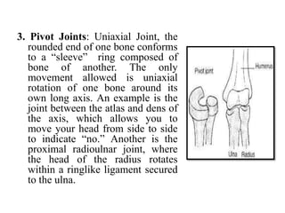 Joints_Skeleton system.pptx