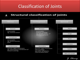 Joints_Skeleton system.pptx