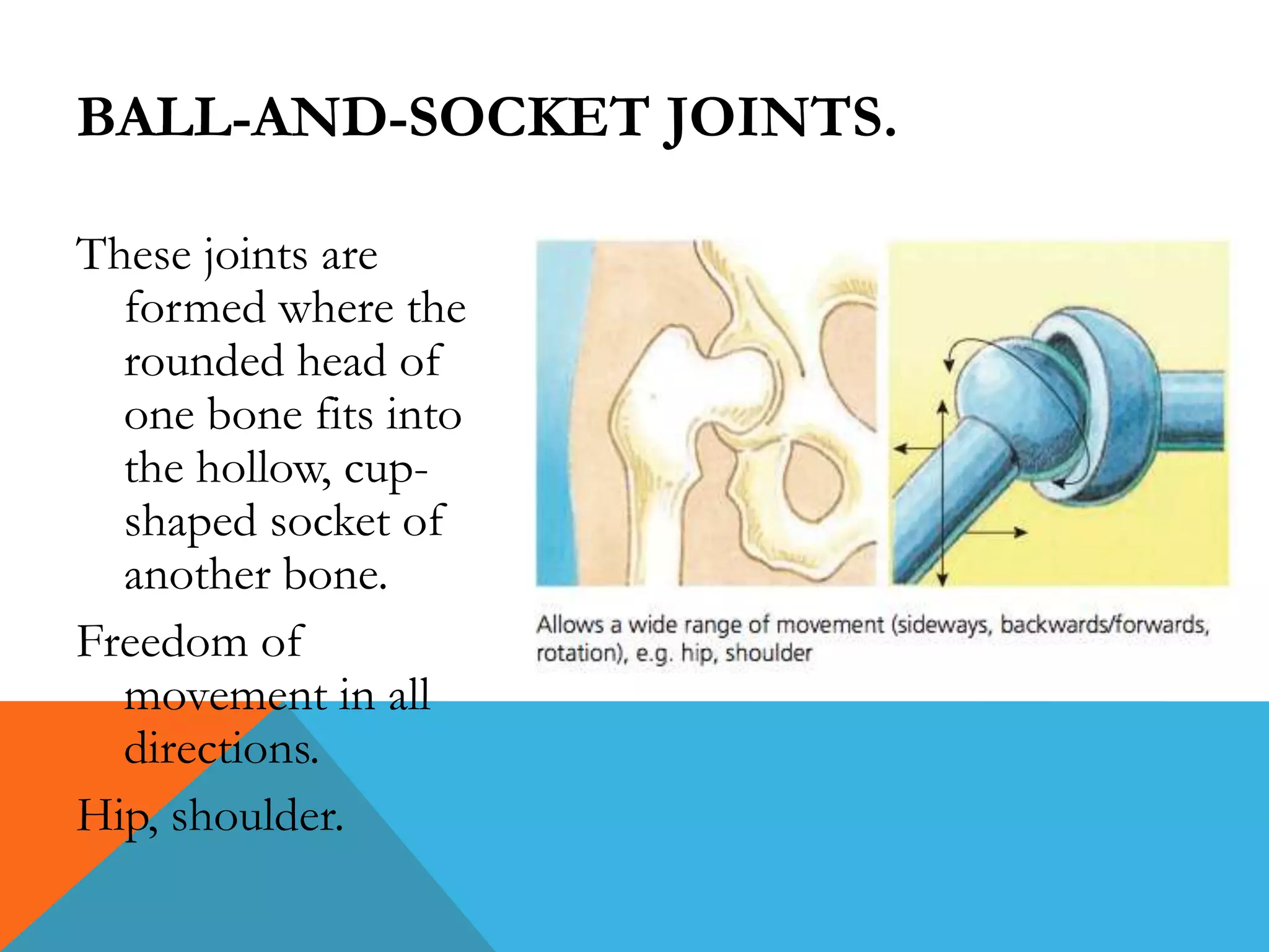 Joints structure and classification | PPTX