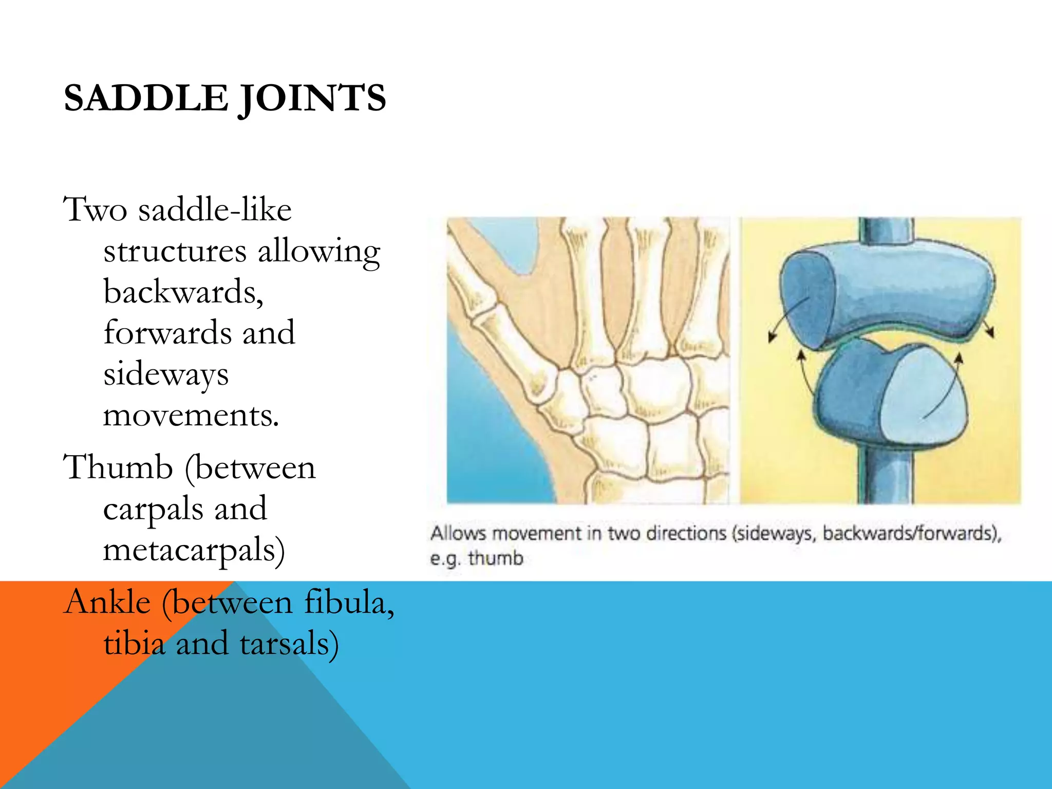 Joints structure and classification | PPTX