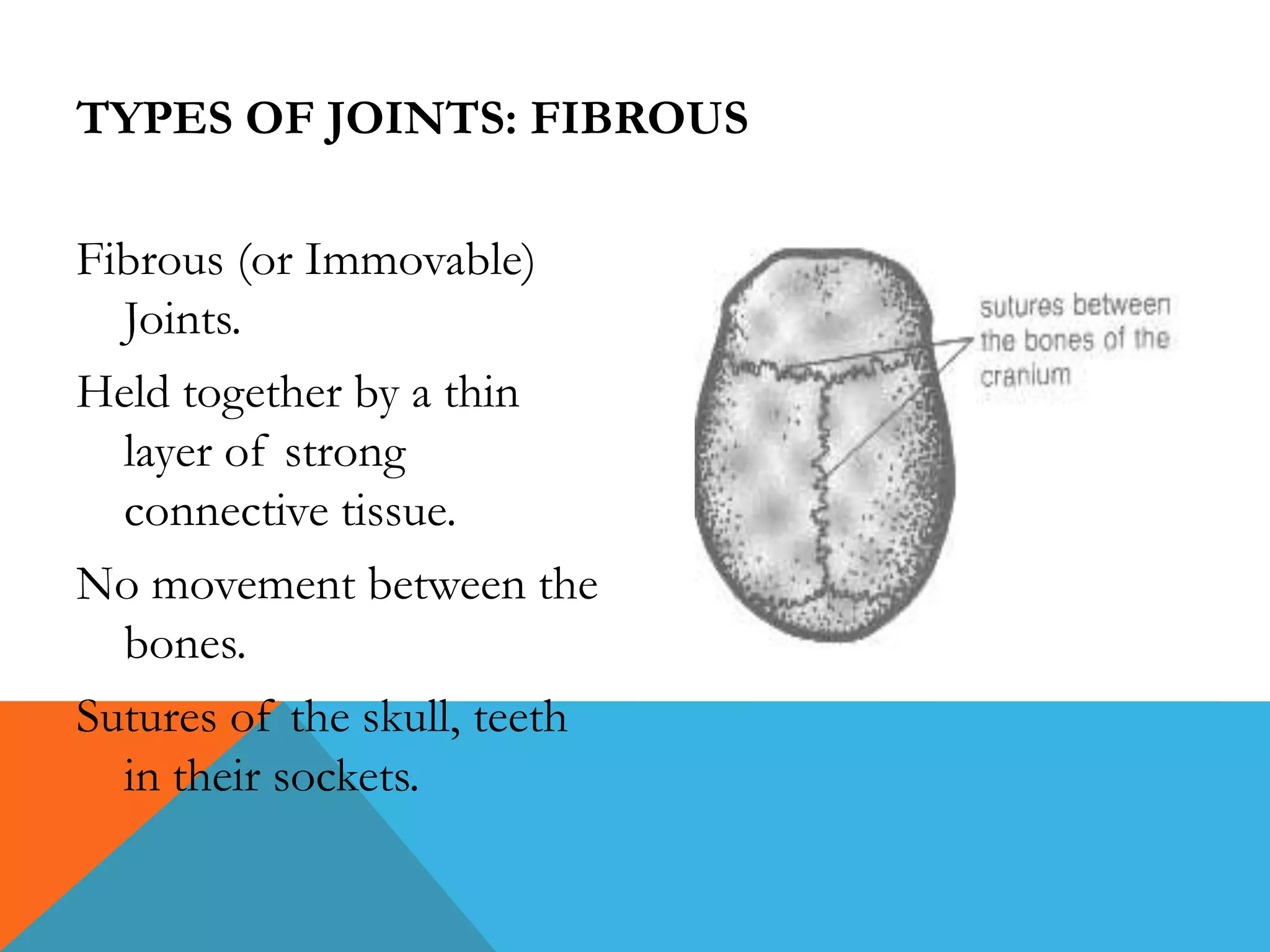 Joints structure and classification | PPTX