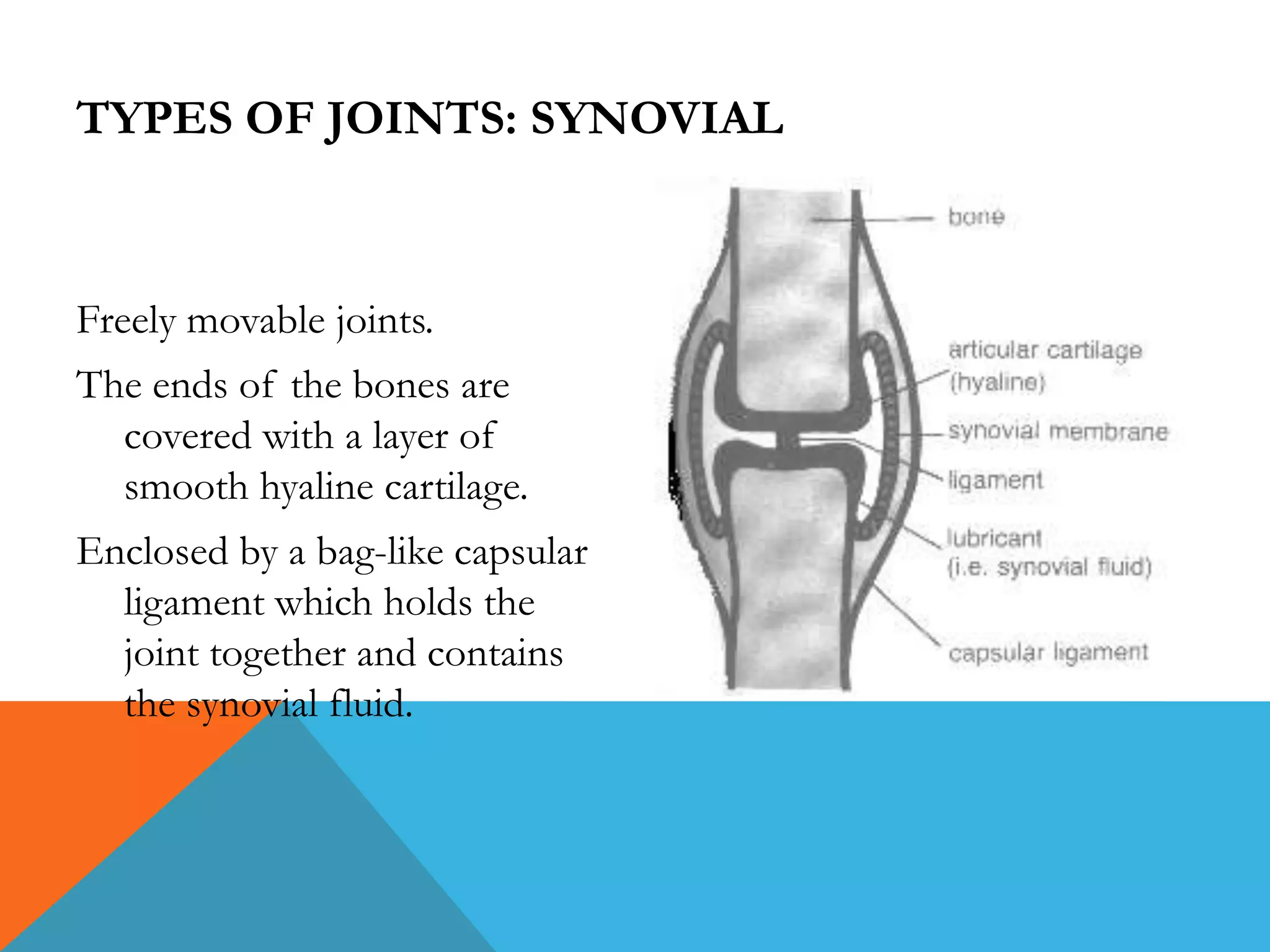 Joints structure and classification | PPTX