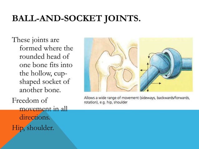 Joints structure and classification | PPTX