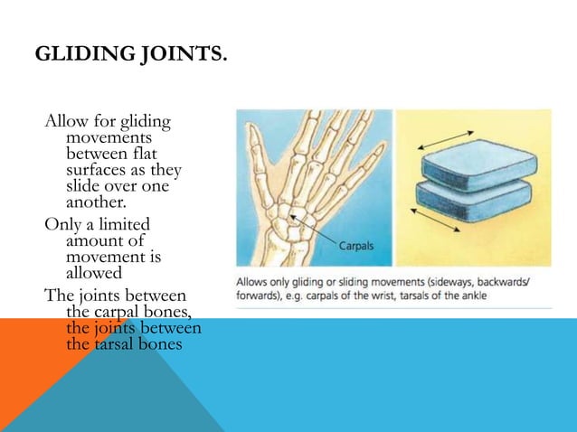 Joints structure and classification | PPTX