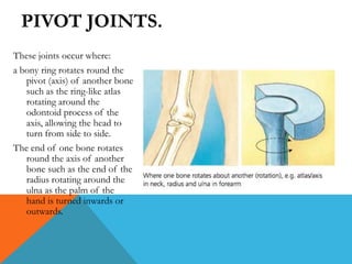 Joints structure and classification | PPTX