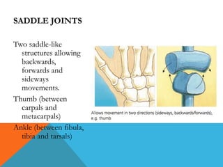 Joints structure and classification | PPTX