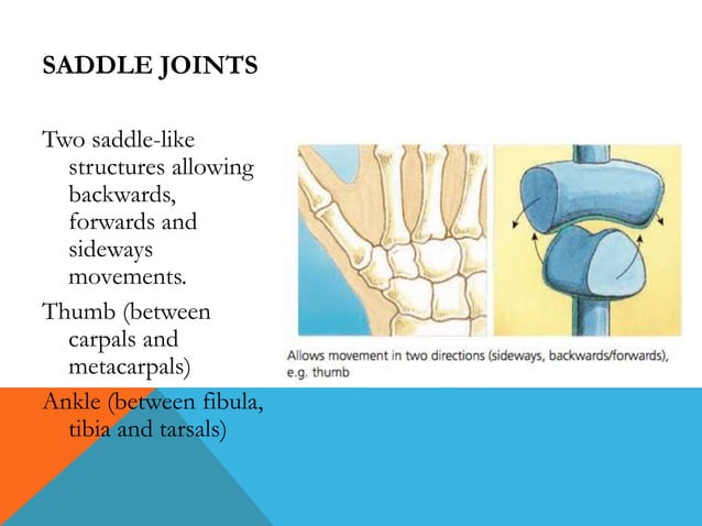 Joints structure and classification | PPTX