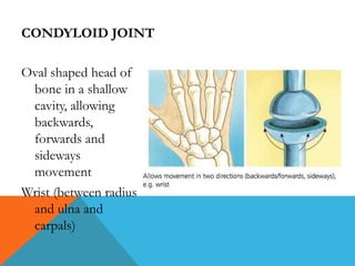Joints structure and classification | PPTX