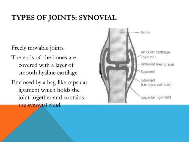 Joints structure and classification | PPTX
