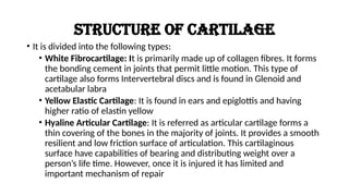 THE BIOMECHANICS OF THE JOINT STRUCTURE & FUNCTION.pptx