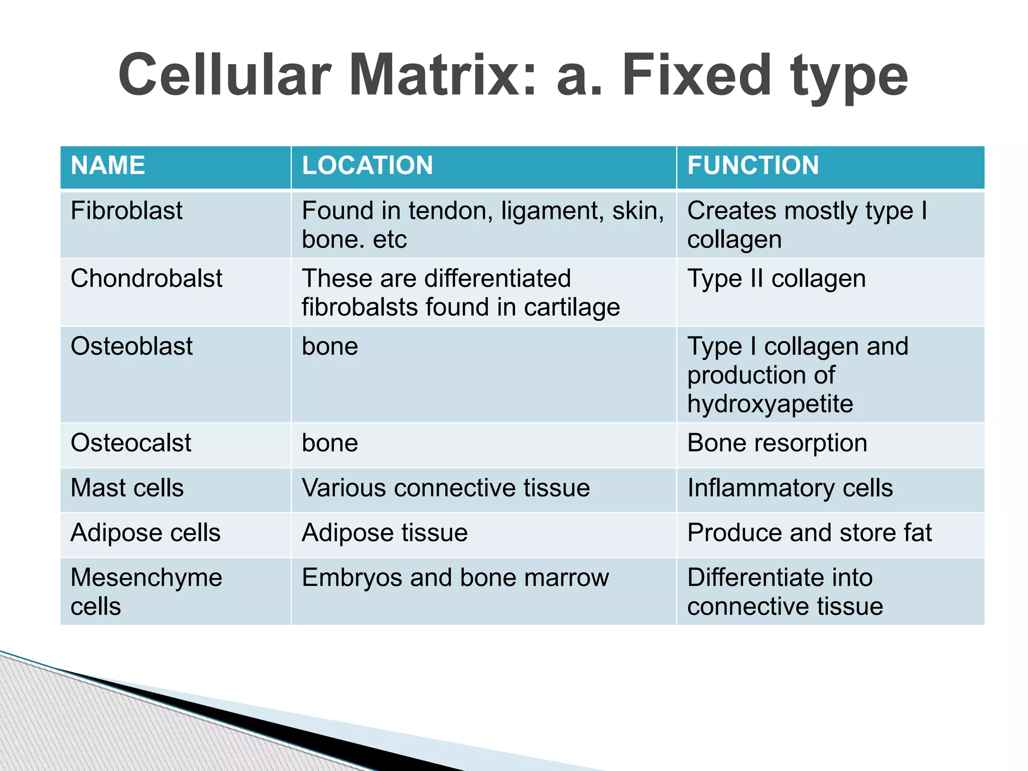 Joint structures and function | PDF