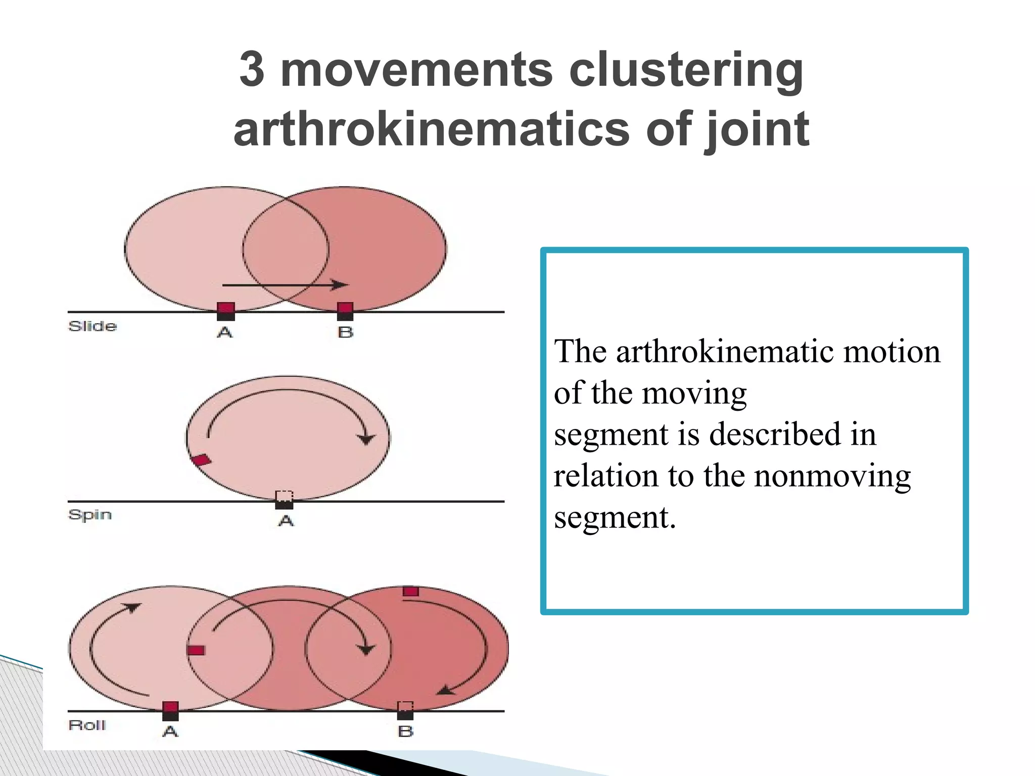 Joint structures and function | PDF