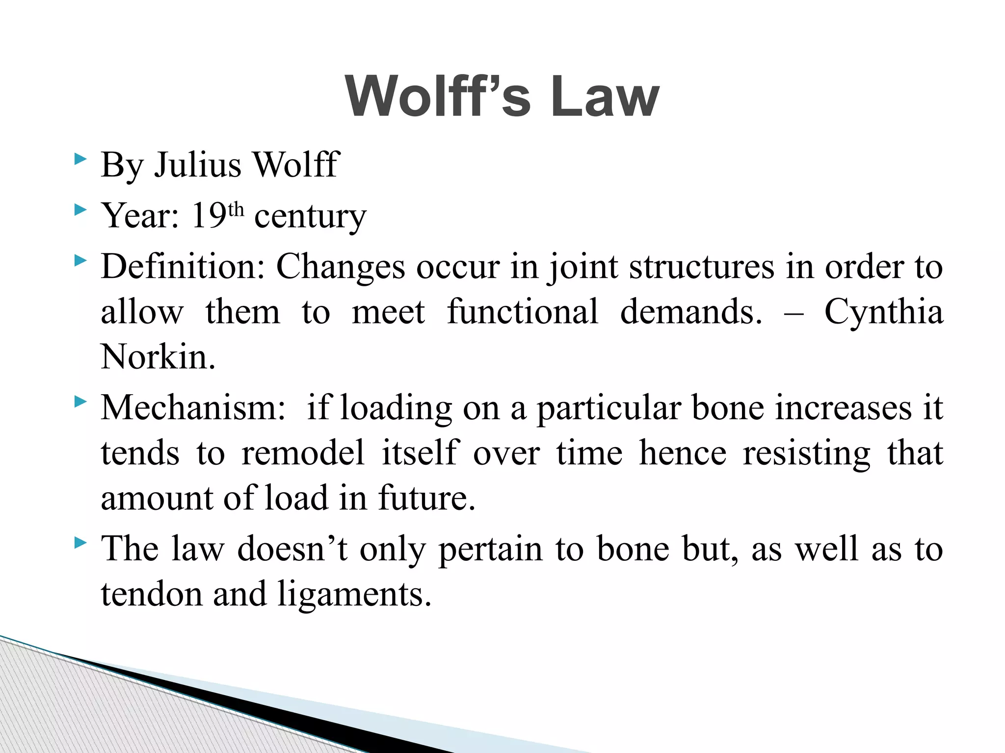 Joint structures and function | PDF