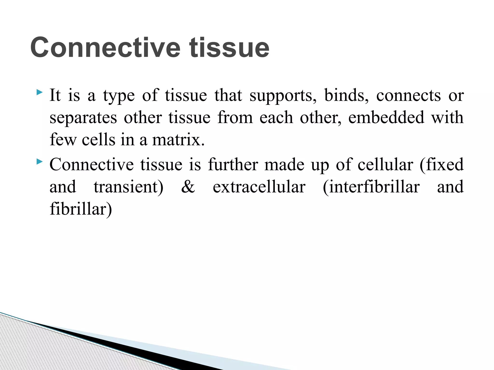 Joint structures and function | PDF