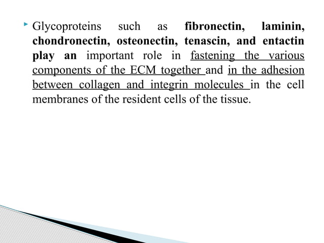 Joint structures and function | PDF