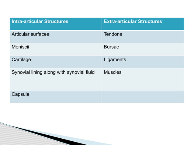 Joint structures and function | PDF
