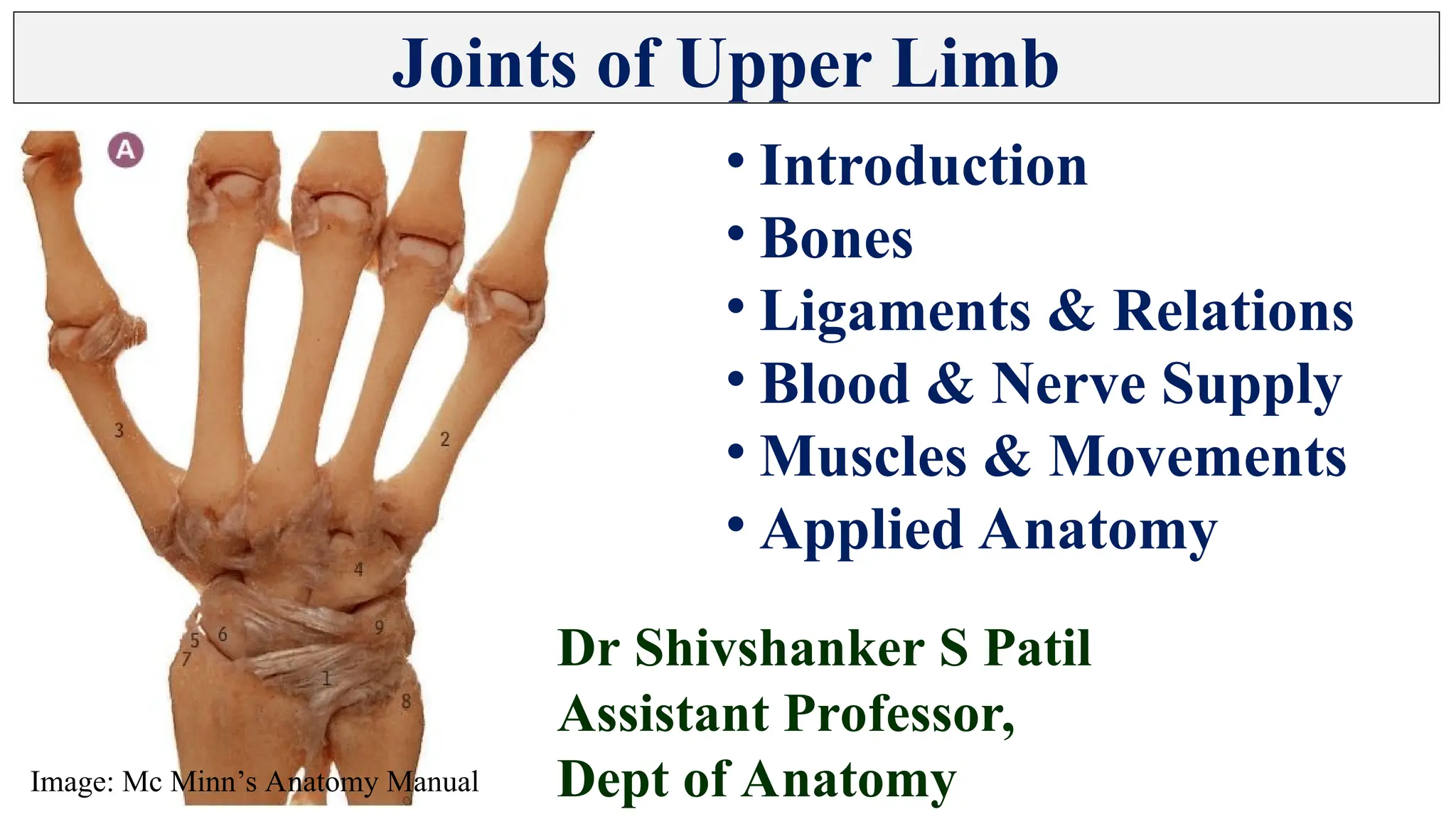 Joints of Upper Limb - Bones, Ligaments, Nerve supply & Movements | PPT