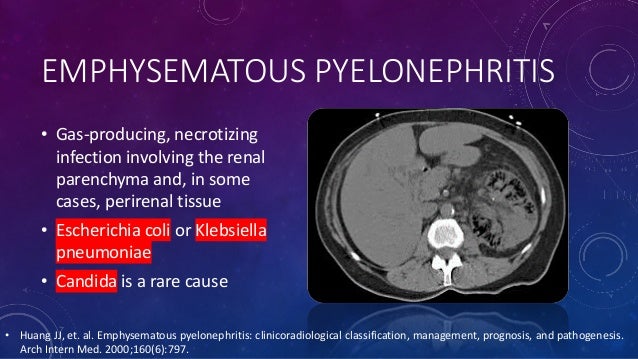 Joint urology emphysematous pyelonephritis