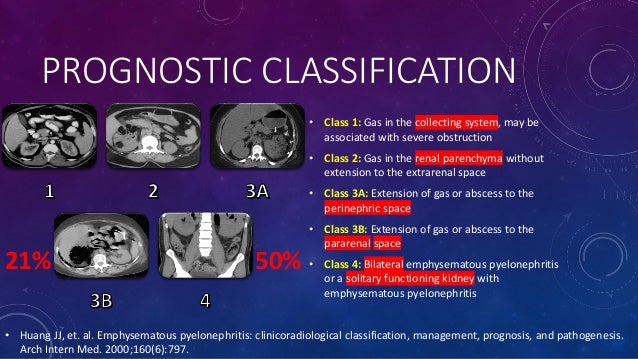 Joint urology emphysematous pyelonephritis