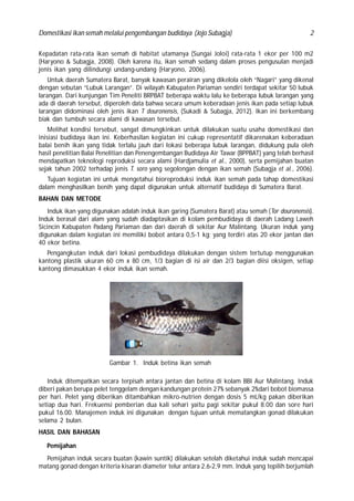 Jojo subagja semah domestikasi | PDF