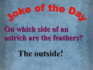 Jokes Riddles | PPT | Infectious Diseases | Diseases and Conditions