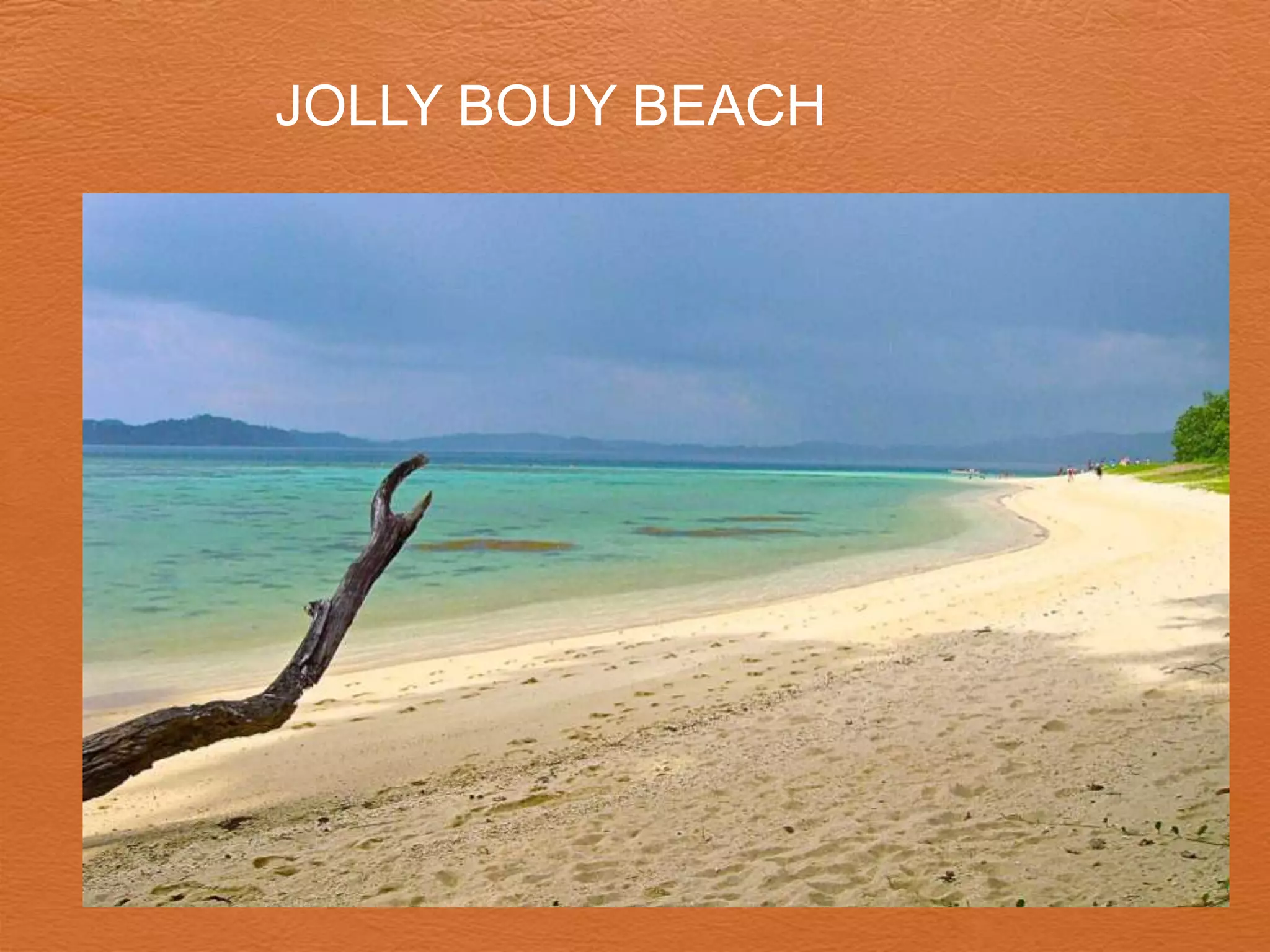 Jolly bouy island | PPTX