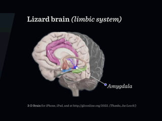 Language and the Lizard Brain | PDF