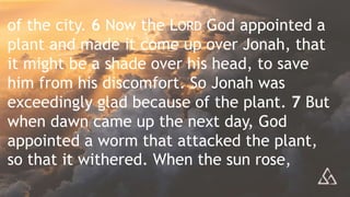 Into the Storm of God's Grace: Jonah 4 | PPT